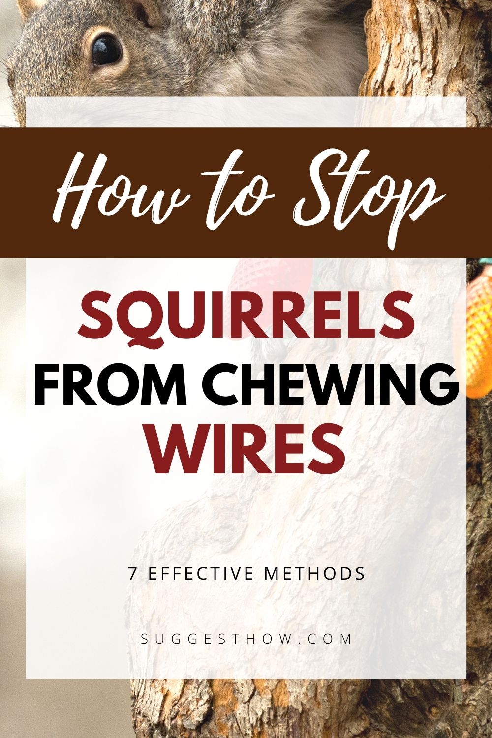 How To Stop Squirrels From Chewing Wires - 7 Ways